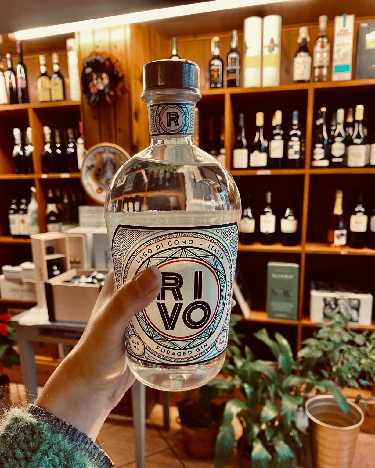 Rivo Foraged Gin 2020-Rivo - Enoteca 84 enoteca84.com
